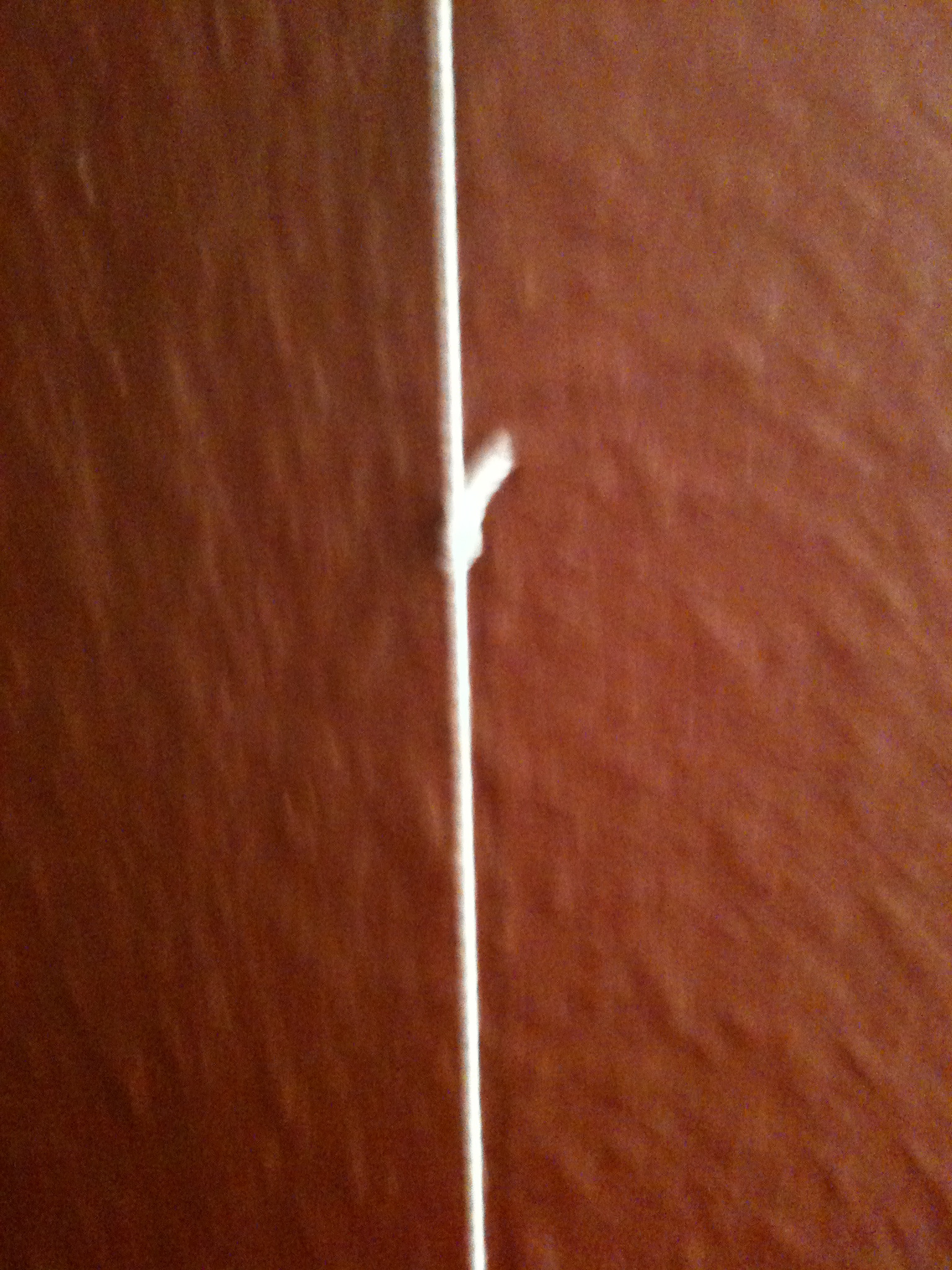 Knot a problem – CircusGeeks.co.uk